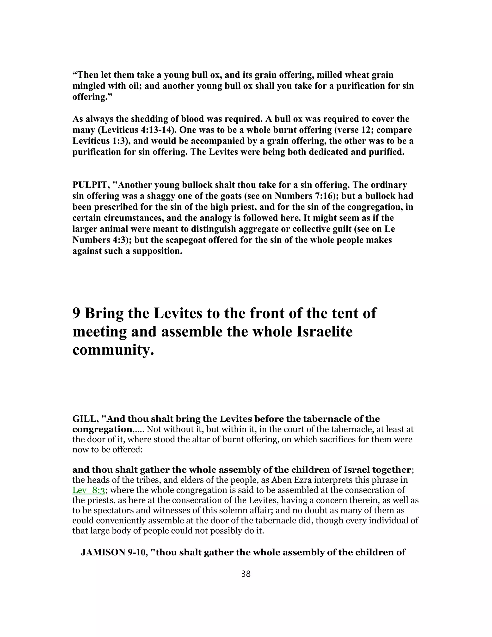 Numbers 8 commentary | PDF