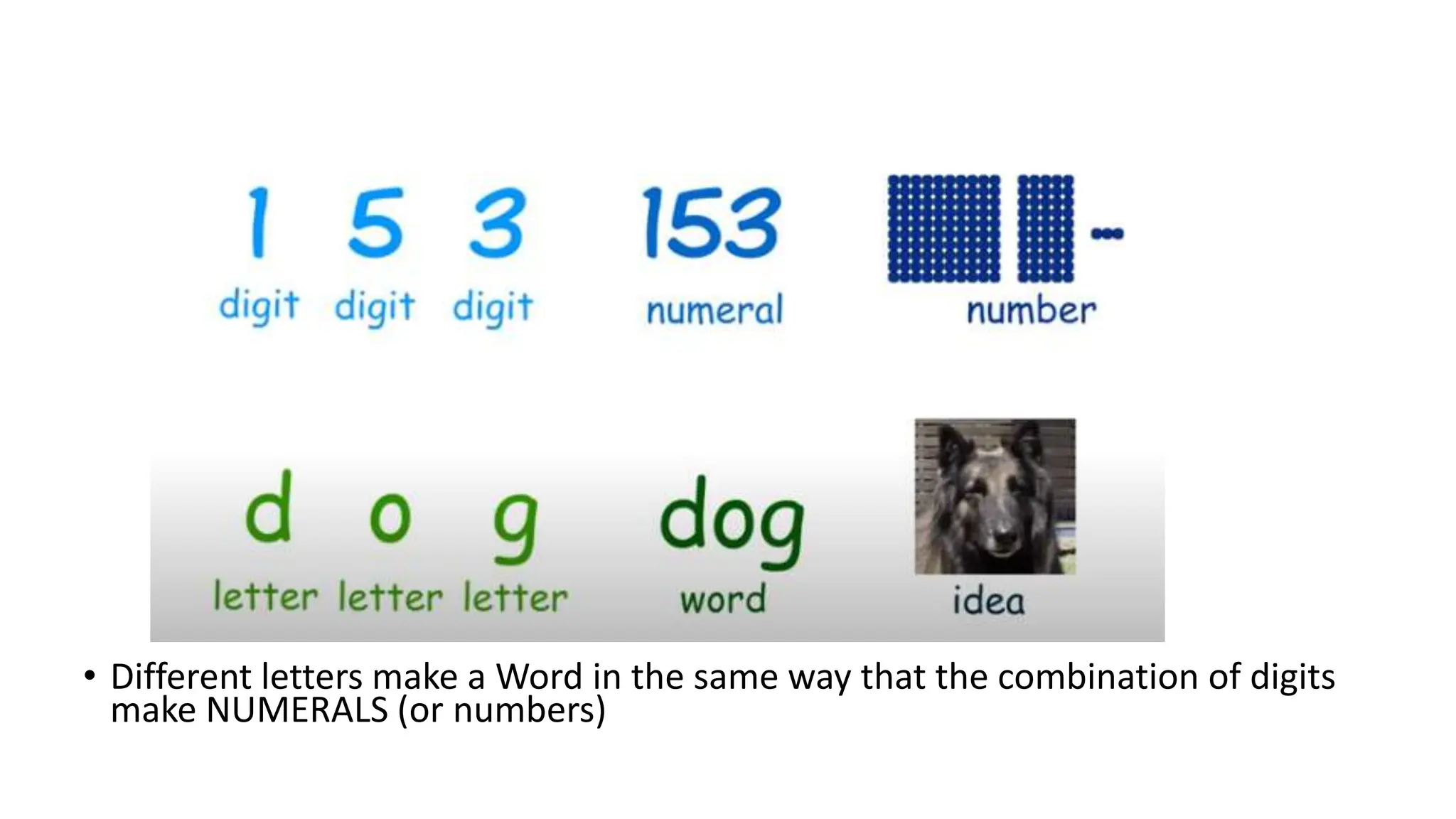 DIFFERENCE AMONG NUMBERS, NUMERALS AND DIGITS.pptx