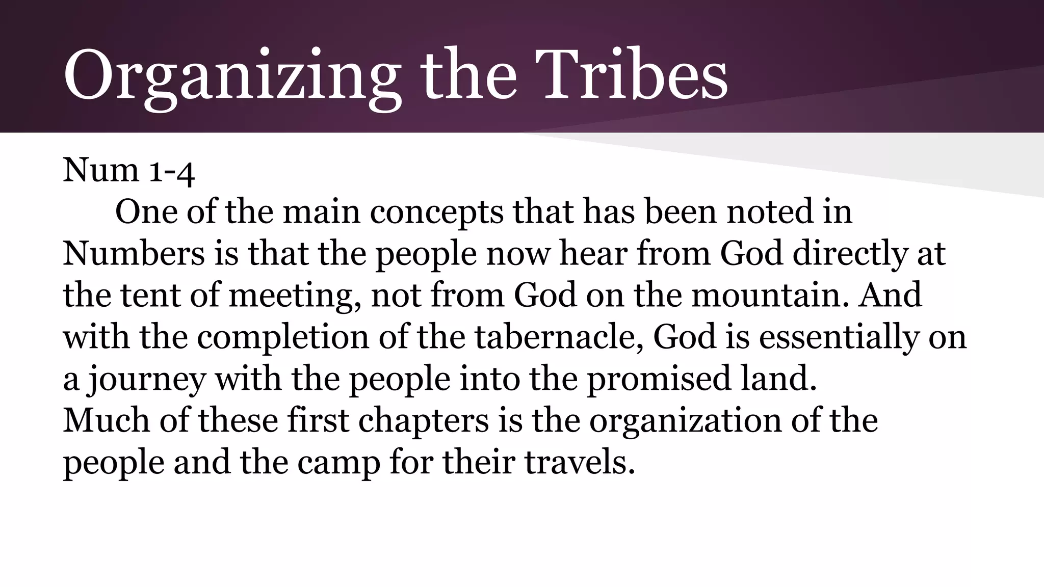 An Overview of Numbers | PPTX