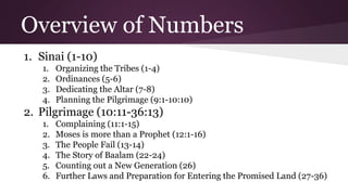 An Overview of Numbers | PPTX