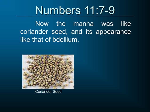 Numbers; Chapter 11-14 | PPT