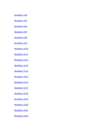 Numbers Chapter 14 (Summary & Lessons).docx