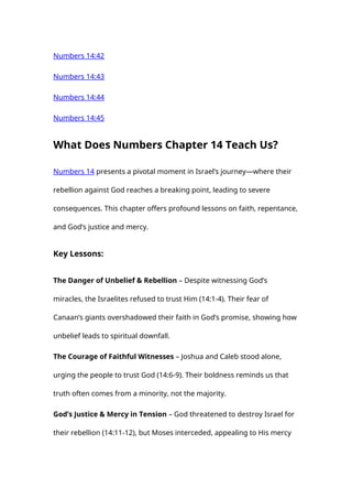 Numbers Chapter 14 (Summary & Lessons).docx