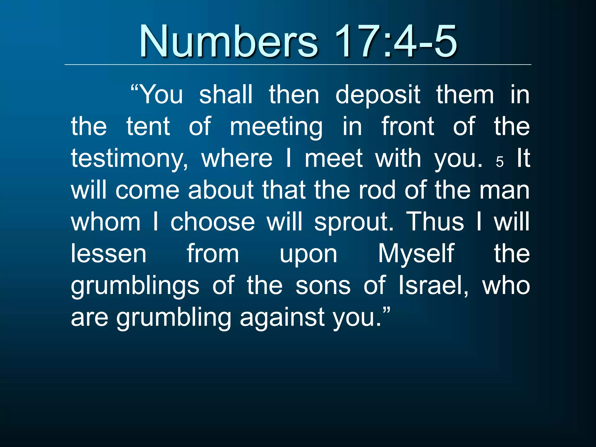 Numbers; Chapter 15-19 | PPT