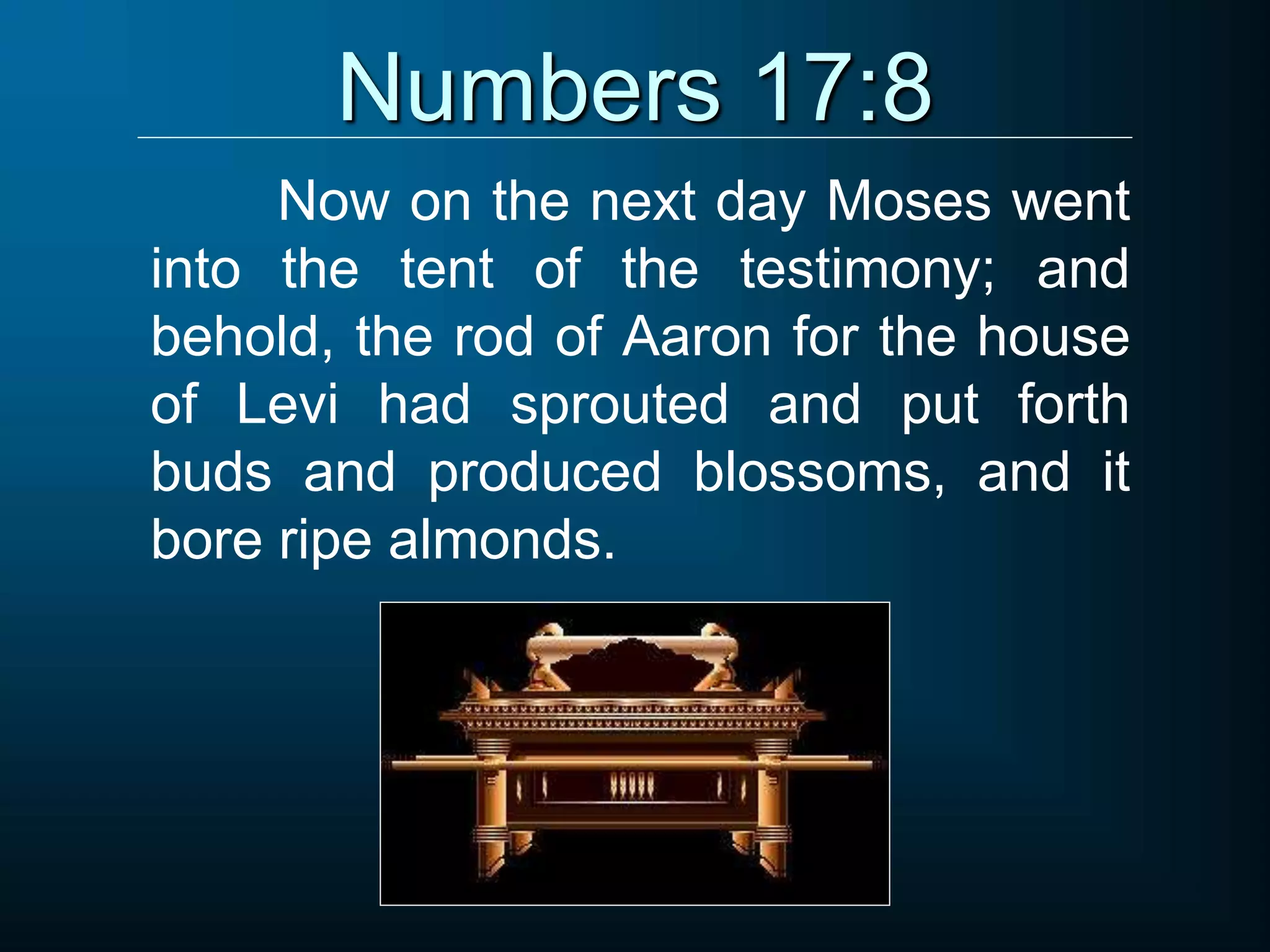 Numbers; Chapter 15-19 | PPT