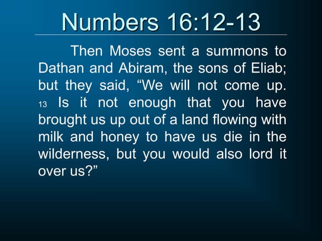 Numbers; Chapter 15-19 | PPT