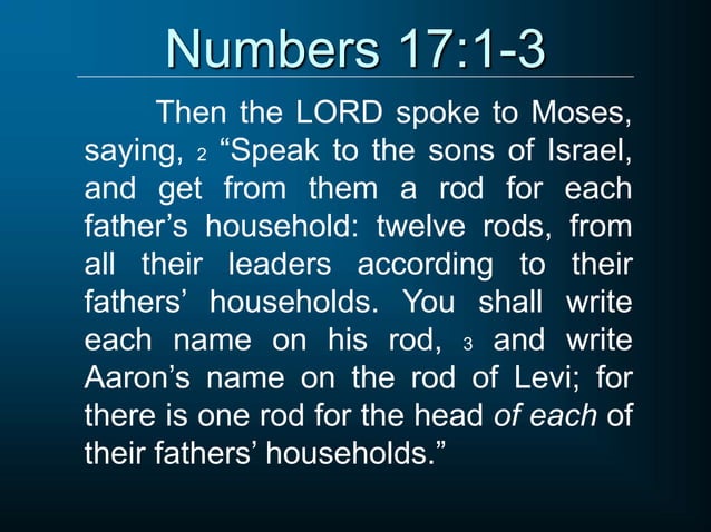 Numbers; Chapter 15-19 | PPT