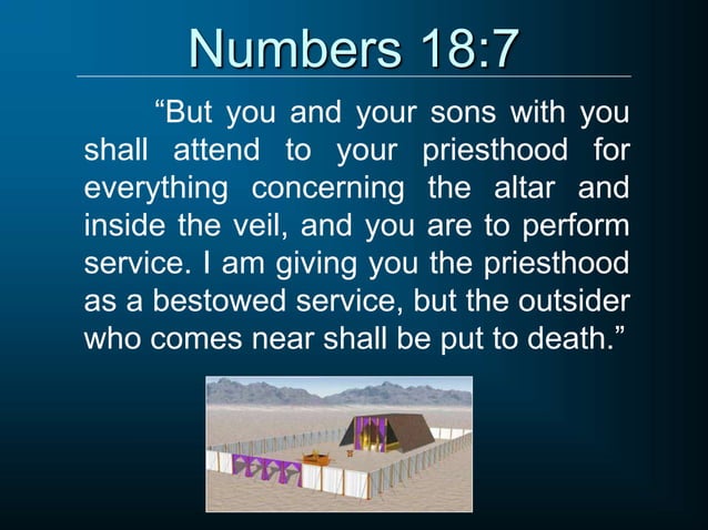 Numbers; Chapter 15-19 | PPT