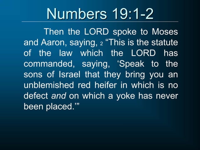 Numbers; Chapter 15-19 | PPT