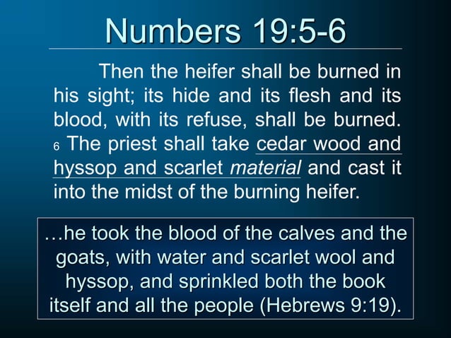 Numbers; Chapter 15-19 | PPT