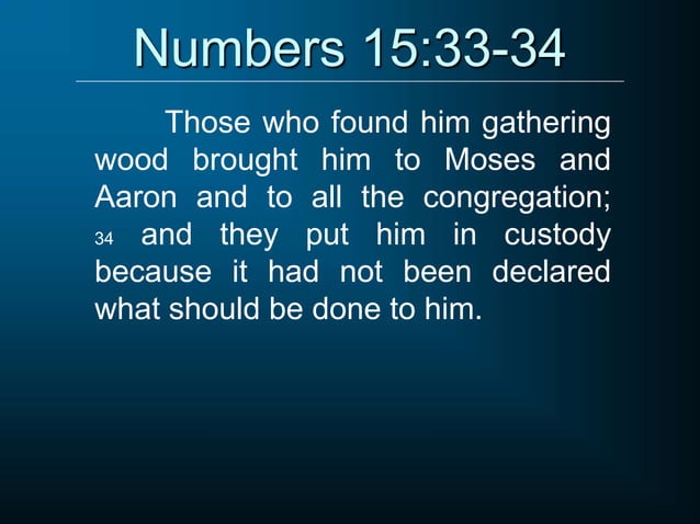 Numbers; Chapter 15-19 | PPT