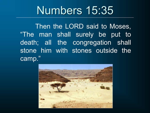 Numbers; Chapter 15-19 | PPT