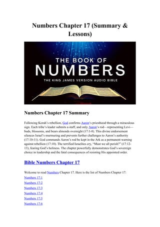 Numbers Chapter 17 (Summary & Lessons).docx