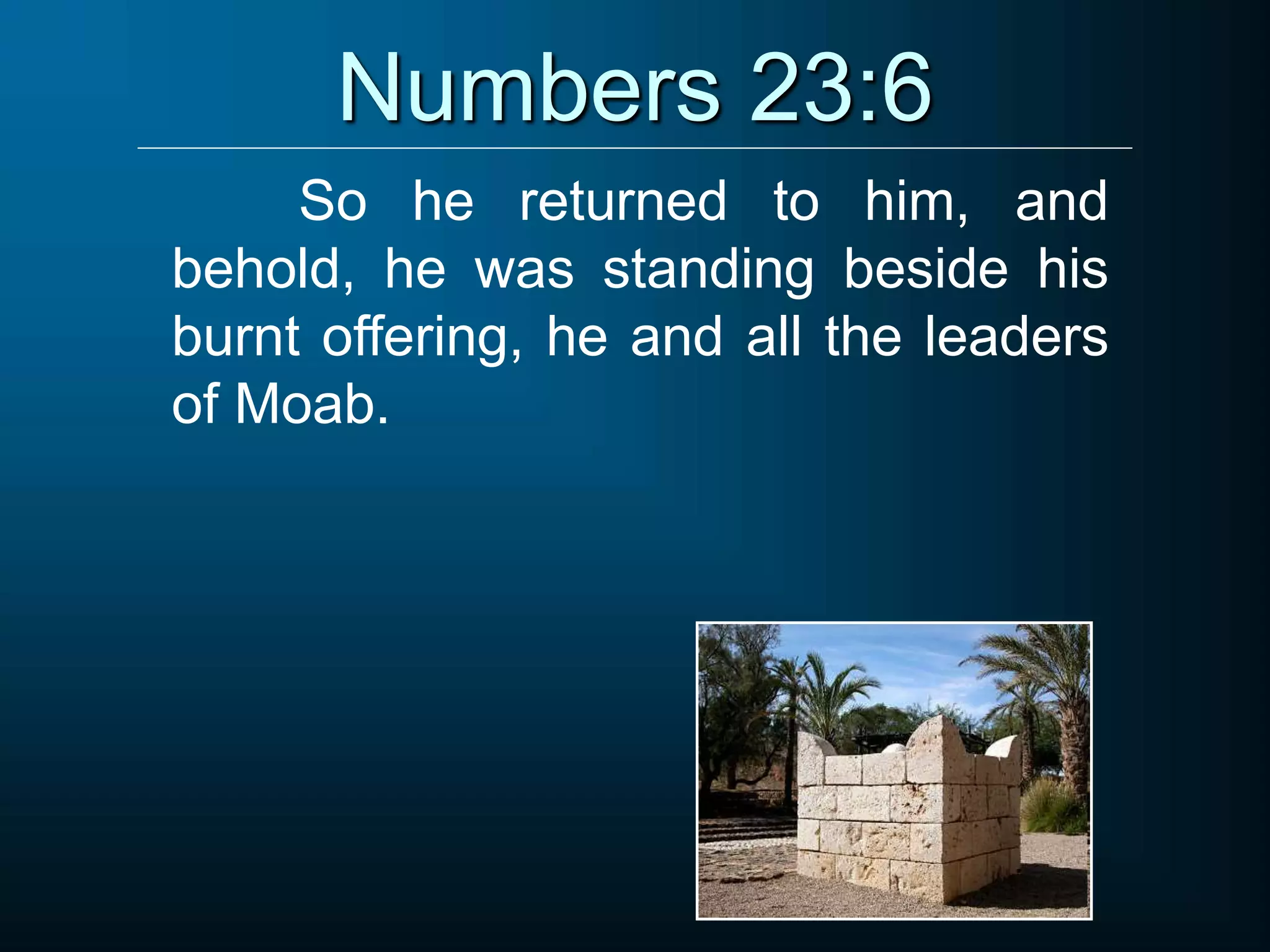 Numbers; Chapter 22-36 | PPT