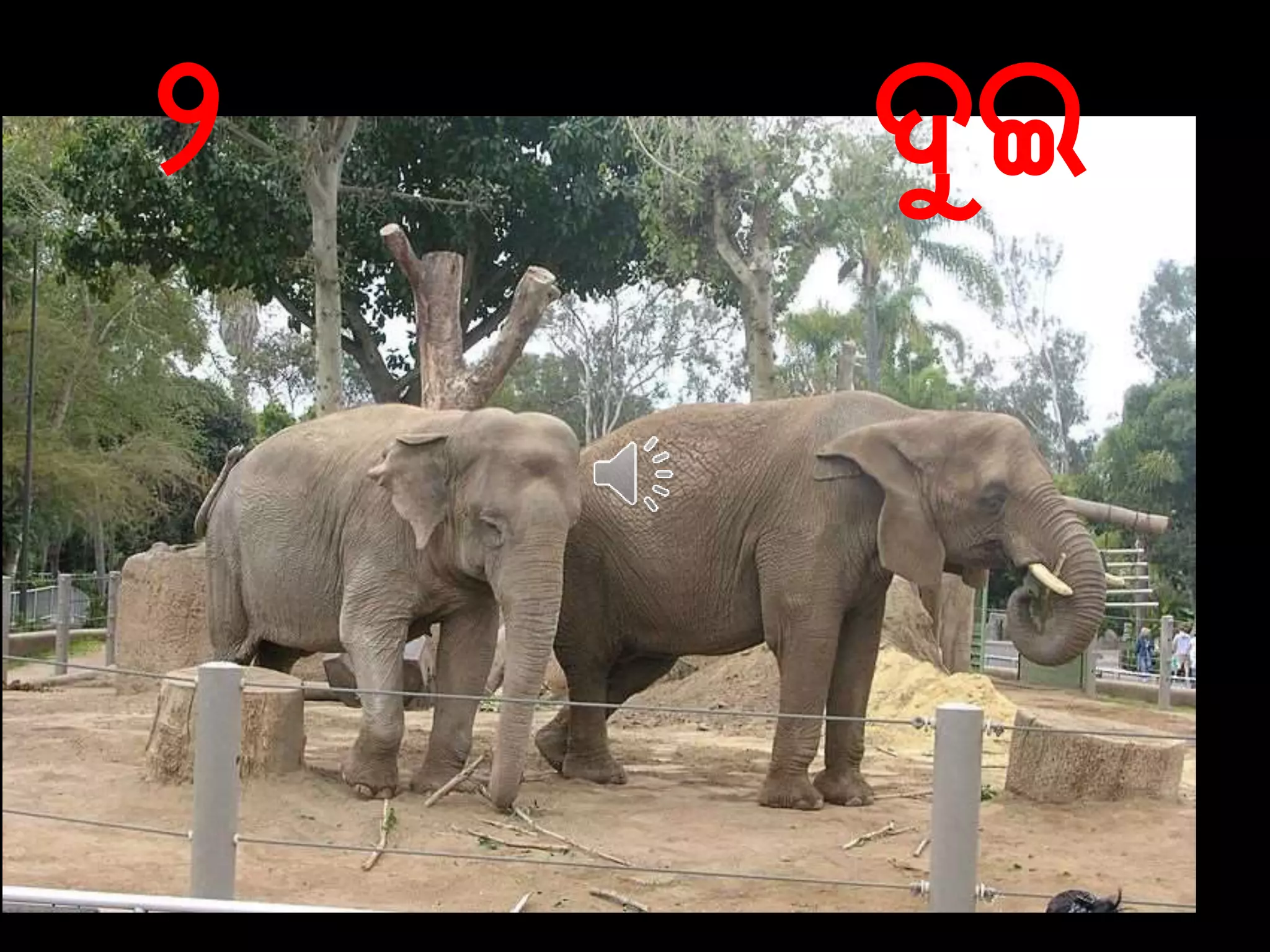 Numbers in oriya | PPT