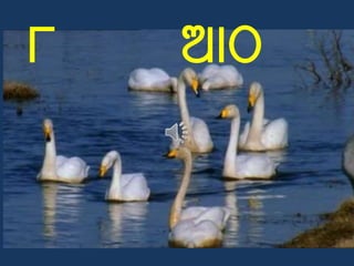 Numbers in oriya | PPT