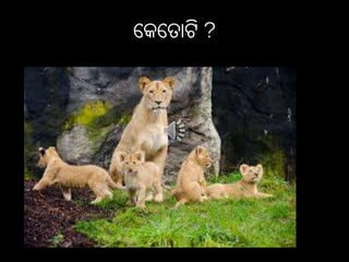 Numbers in oriya | PPT