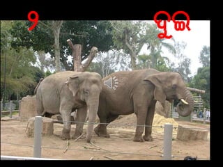 Numbers in oriya | PPTX