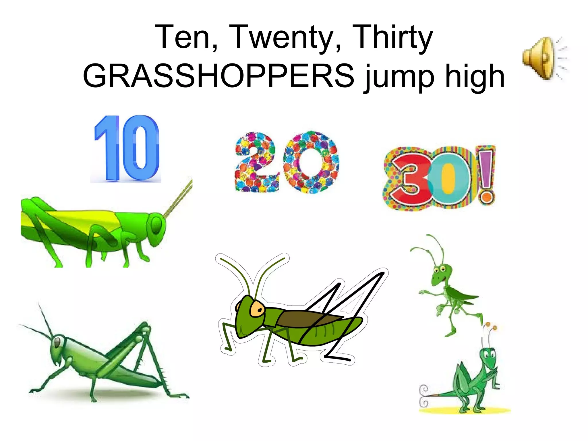 Numbers & insects | PPT