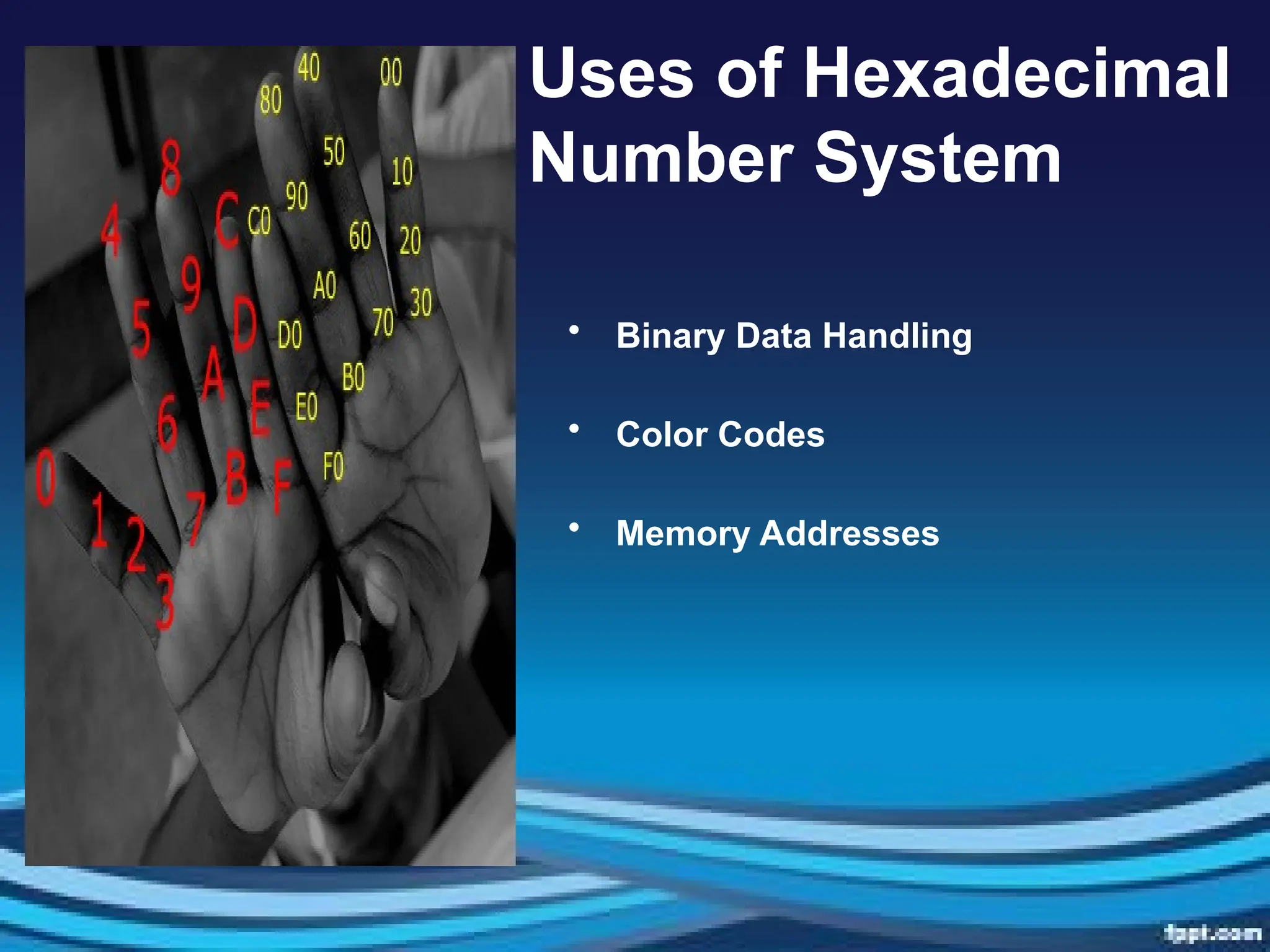 number system with diffrencent types of its | PPT