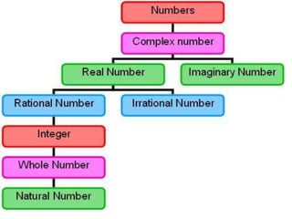 Number System ppt.pptx