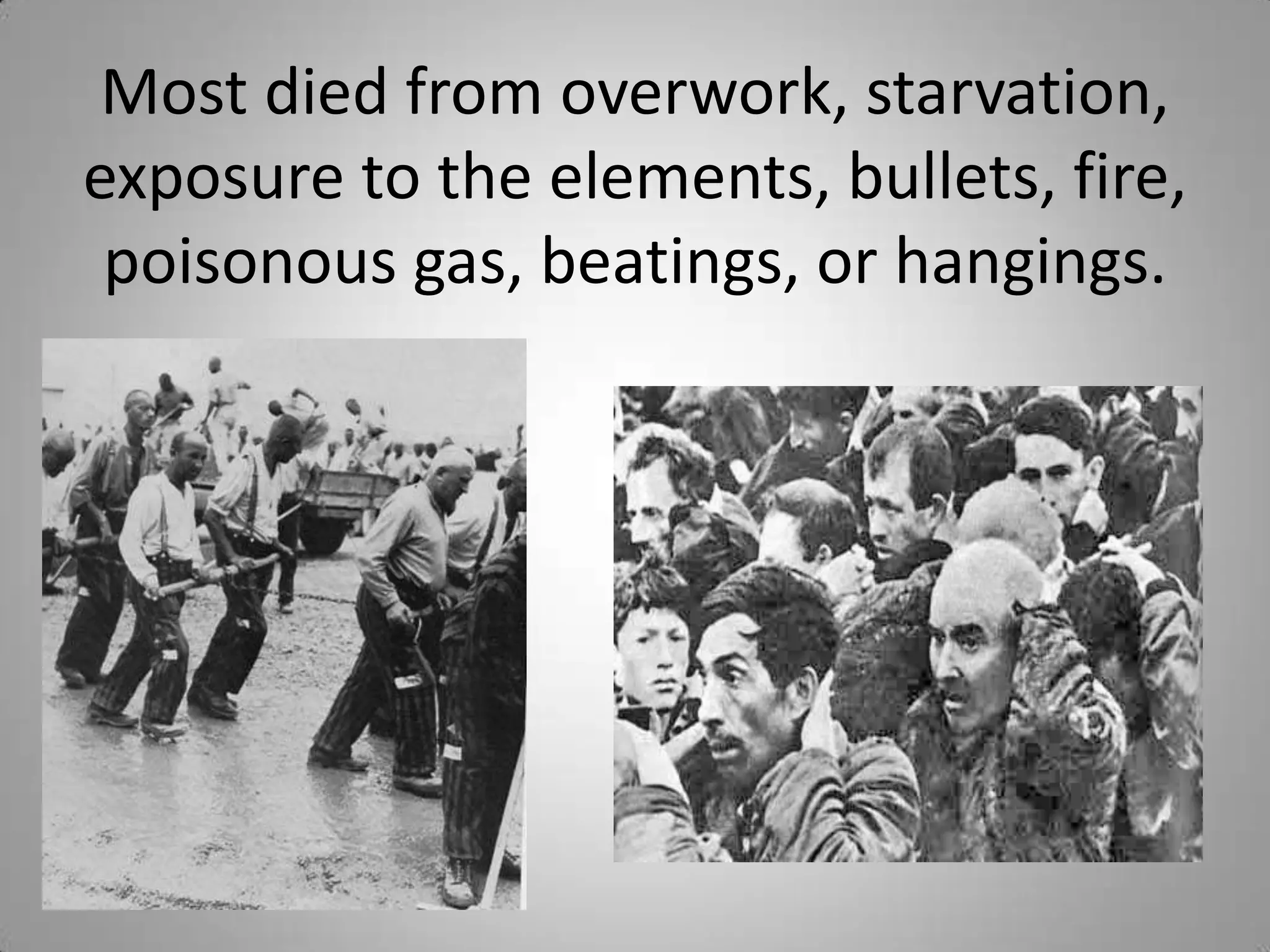 An Introduction to Number the Stars | PPTX | Death, Injury, or Military ...