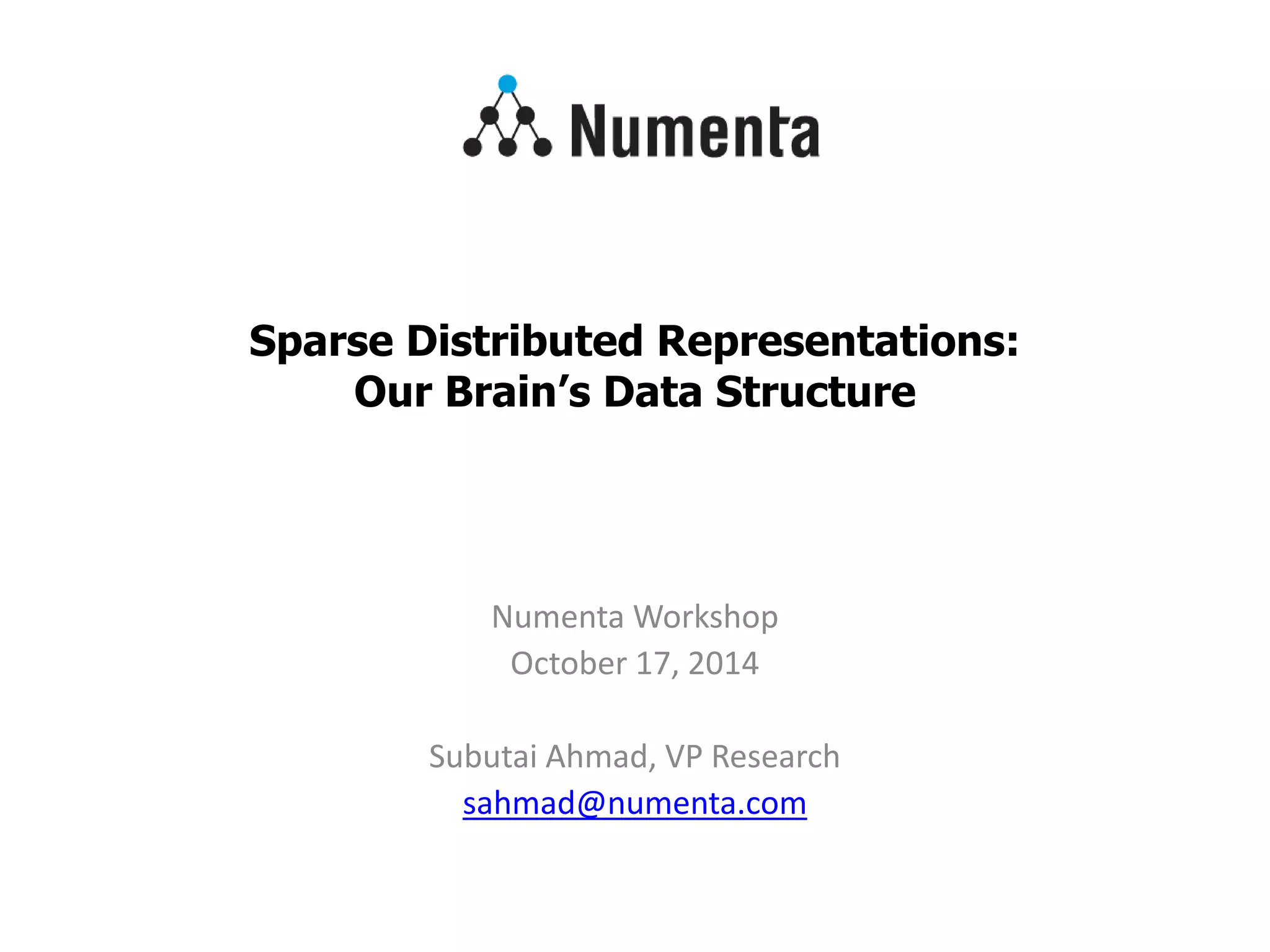 Sparse Distributed Representations: Our Brain's Data Structure | PPTX
