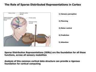 Sparse Distributed Representations: Our Brain's Data Structure | PPTX