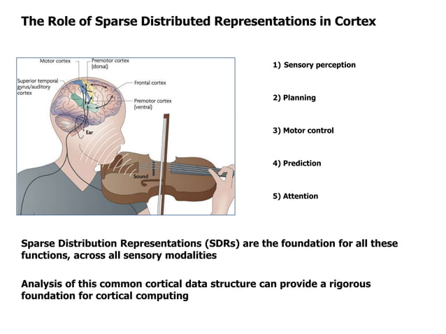 Sparse Distributed Representations: Our Brain's Data Structure | PPT Sparse Distributed Representations: Our Brain's Data Structure | PPT