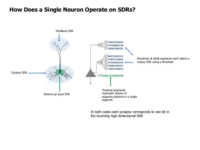Sparse Distributed Representations Our Brain S Data Structure