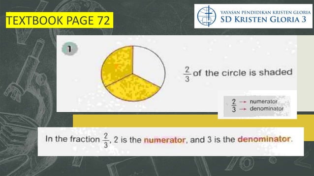 numerator and denominator.pptx