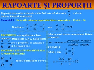 Numere rationale VII | PPS