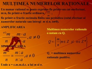 Numere rationale VII | PPS