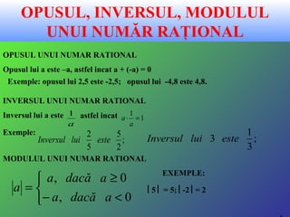 Numere rationale VII | PPS