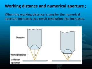 Numerical aperture and limits of resolution of microscope | PPT