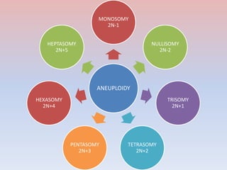 Numerical changes in chromosome | PPTX