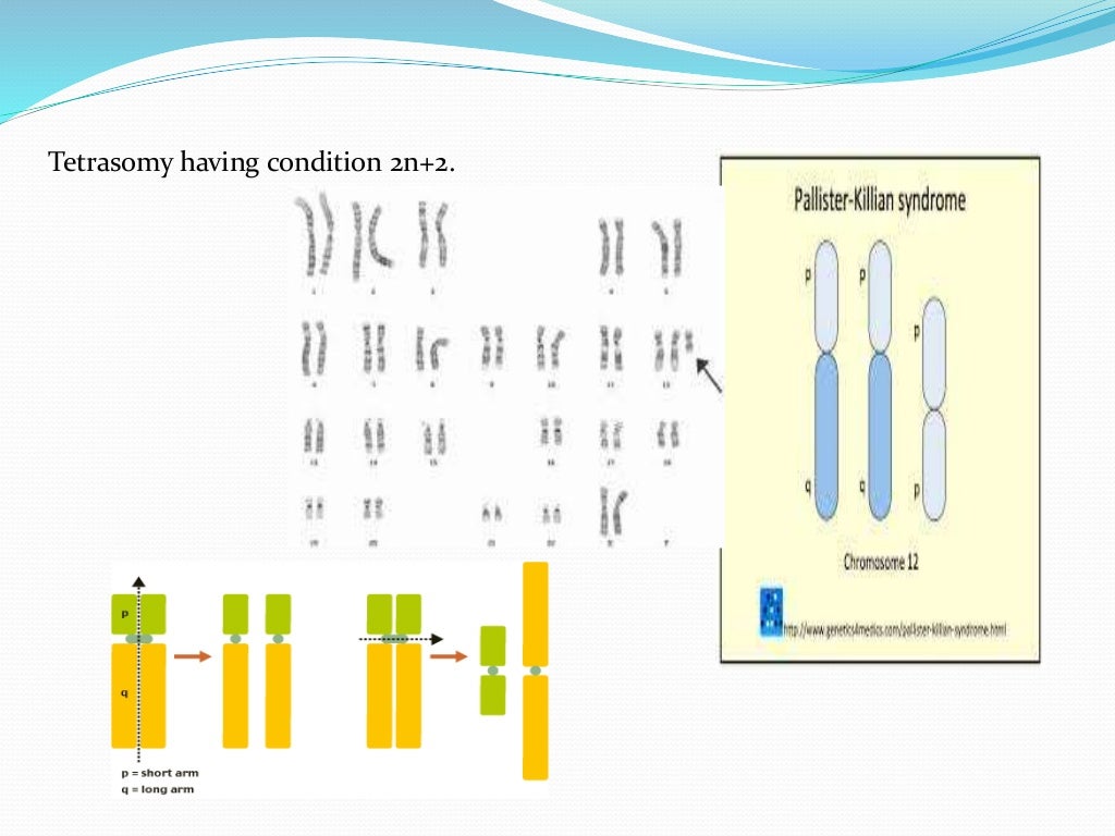 Numerical Chromosomal Aberrations