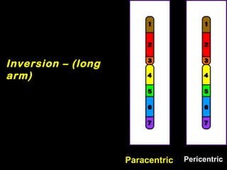Numerical structuralabnormalities csbrp | PPT