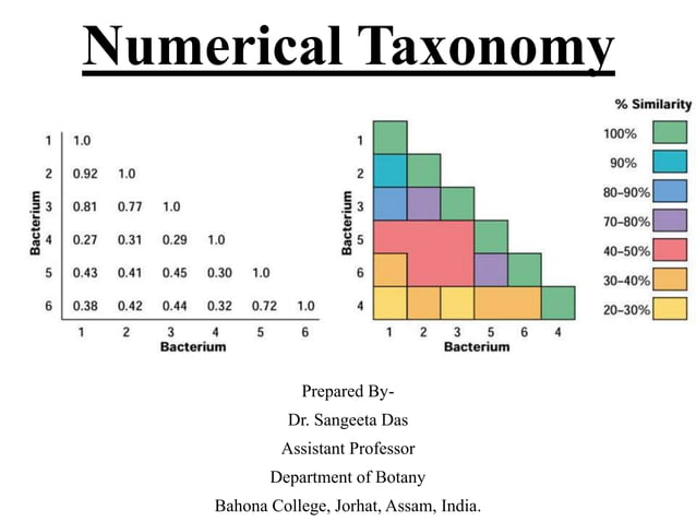 Numerical taxonomy_Plant Taxonomy | PPTX | Biological Sciences | Science