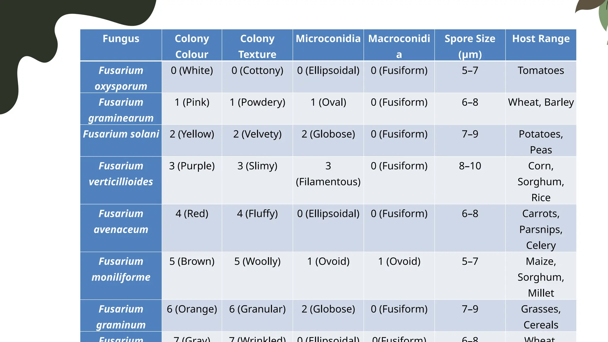 Numerical taxonomy of fungi and bacteria pptx | PPTX