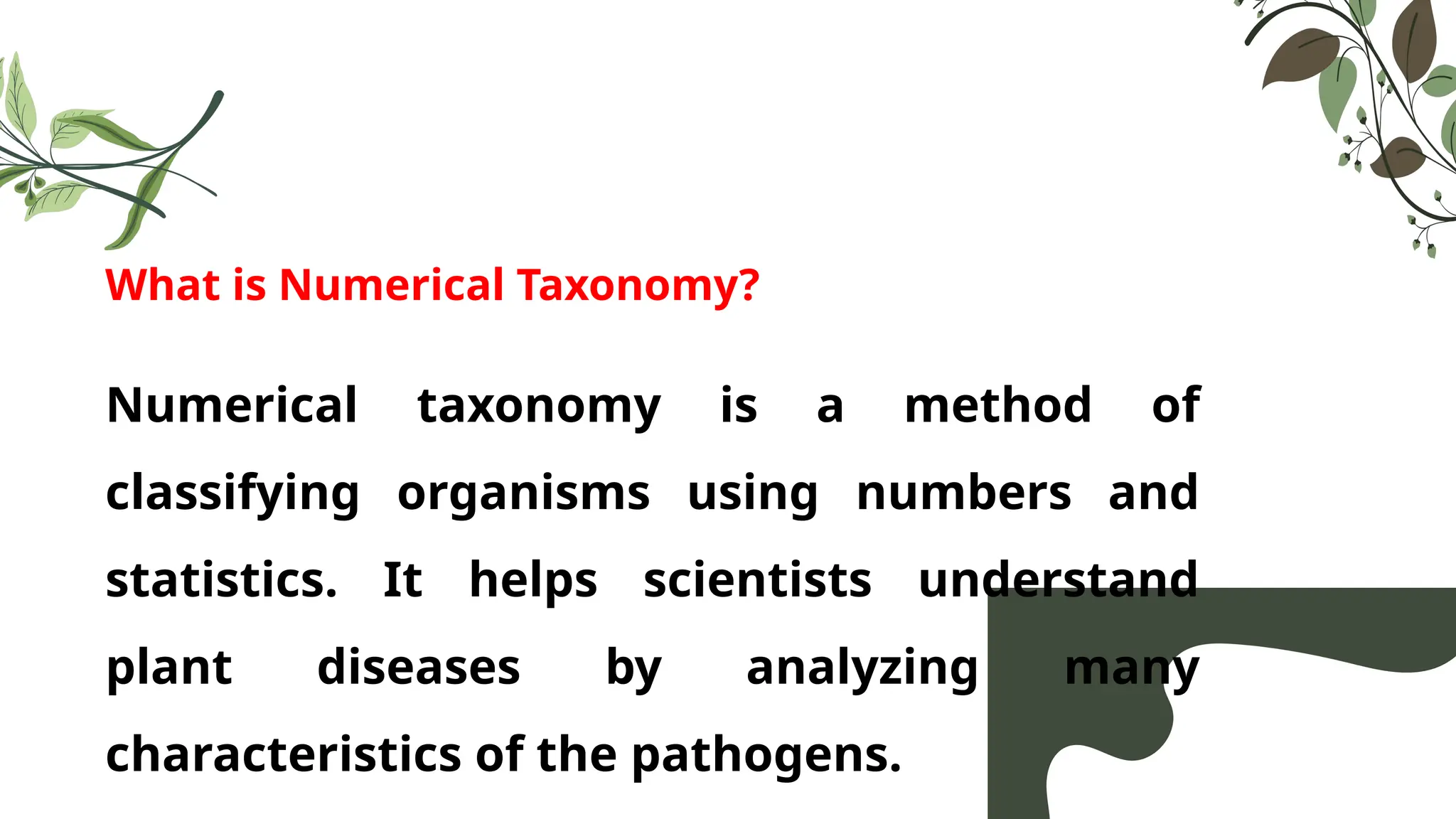 Numerical taxonomy of fungi and bacteria pptx | PPTX