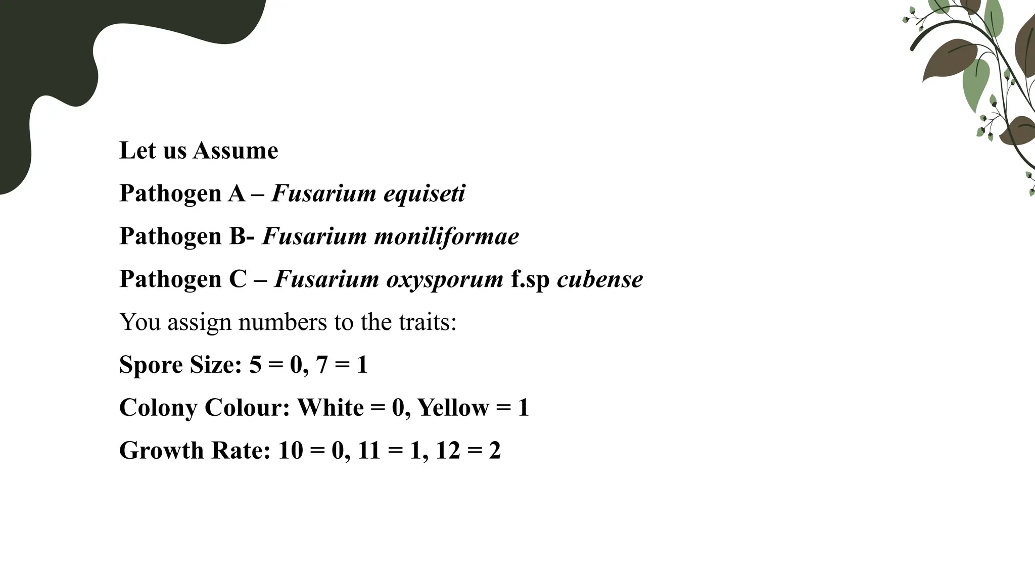 Numerical taxonomy of fungi and bacteria pptx | PPTX