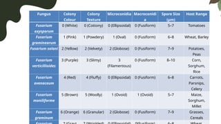 Numerical taxonomy of fungi and bacteria pptx | PPTX