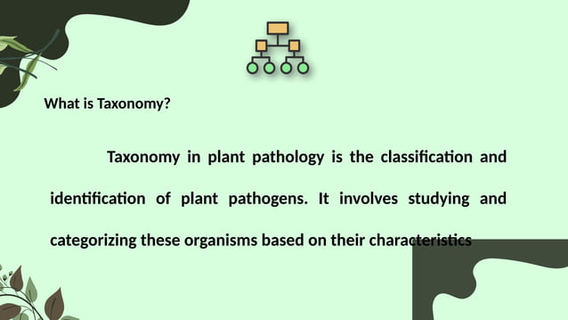 Numerical taxonomy of fungi and bacteria pptx | PPTX
