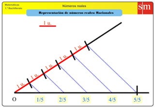 Los numeros reales | PPT