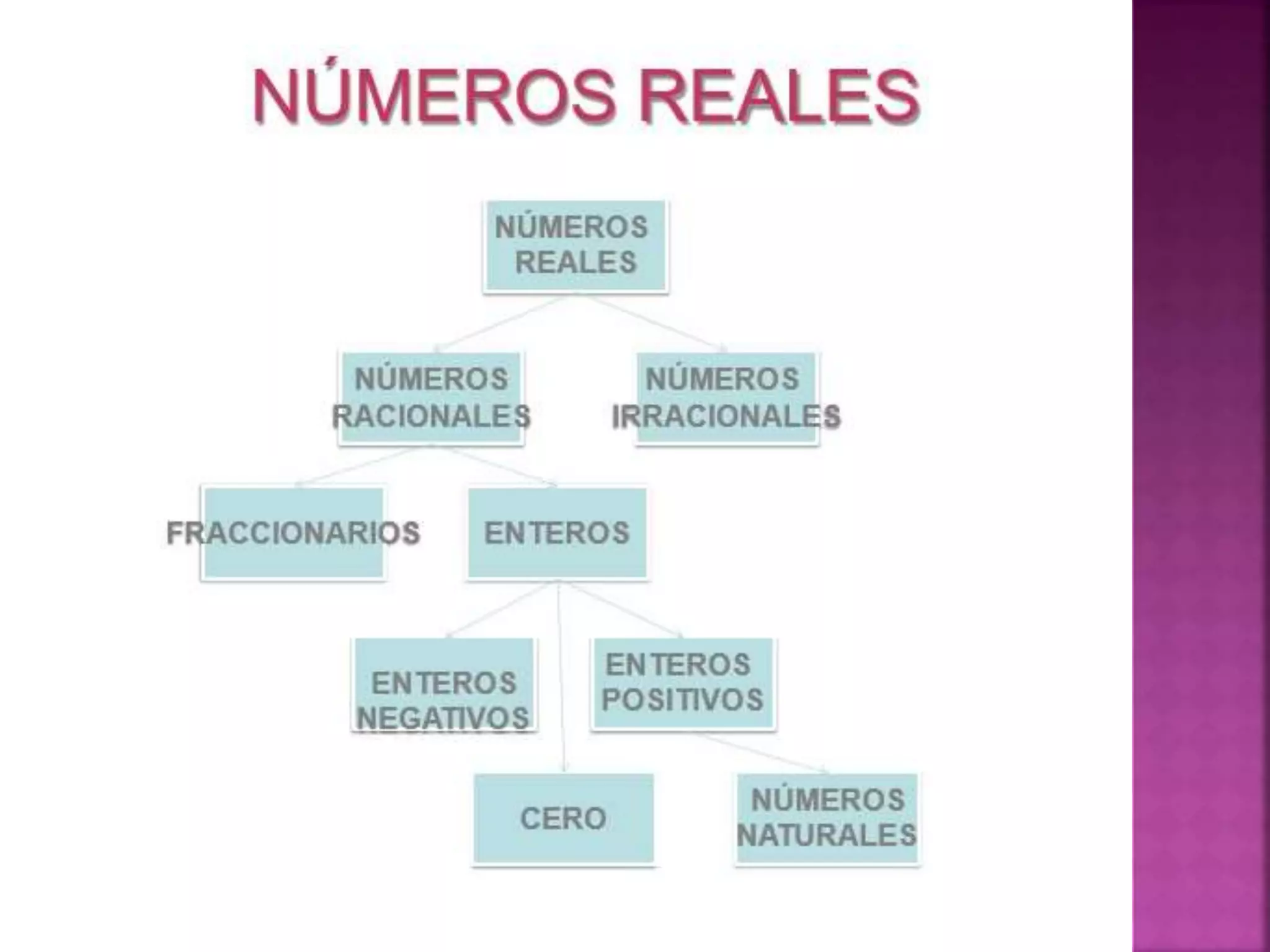 Numeros reales | PPT