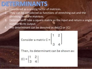 Numerical Solution/Method_Topics 1_ Determinants | PDF