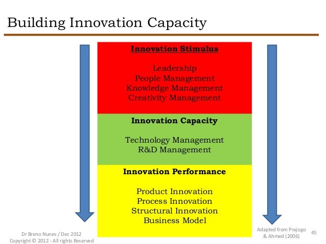 Nunes, Breno (2012) Building innovation capacity
