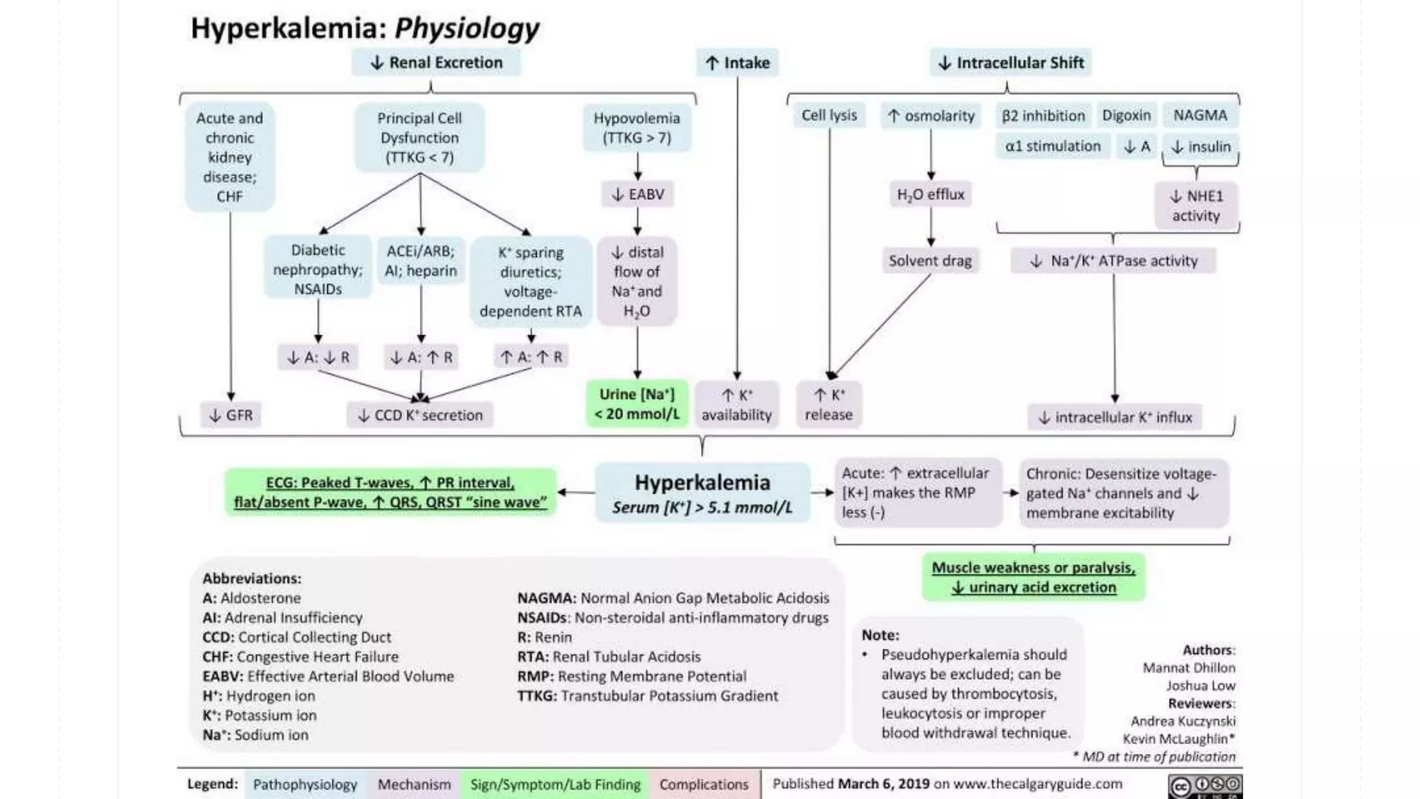 Cấp Cứu Tăng Kali Máu - Hyperkalemia emergency | PPT