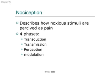 Nupd 400 chapter 10 pain | PPT
